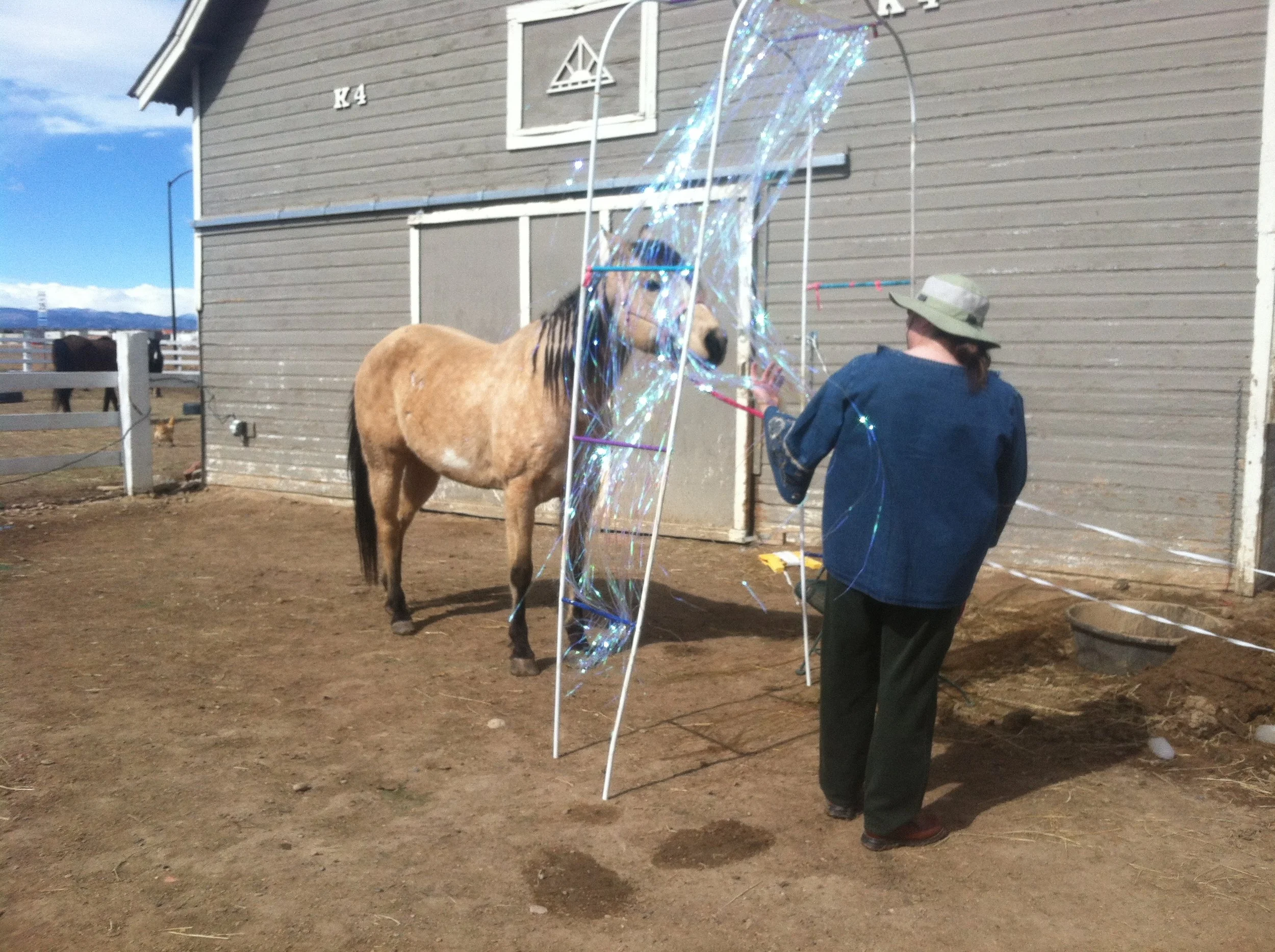 New Gallery — GROUNDWORK RANCH