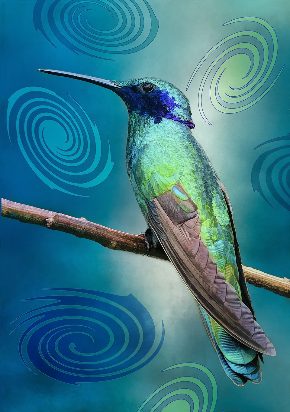 Beautiful Hummingbird Art