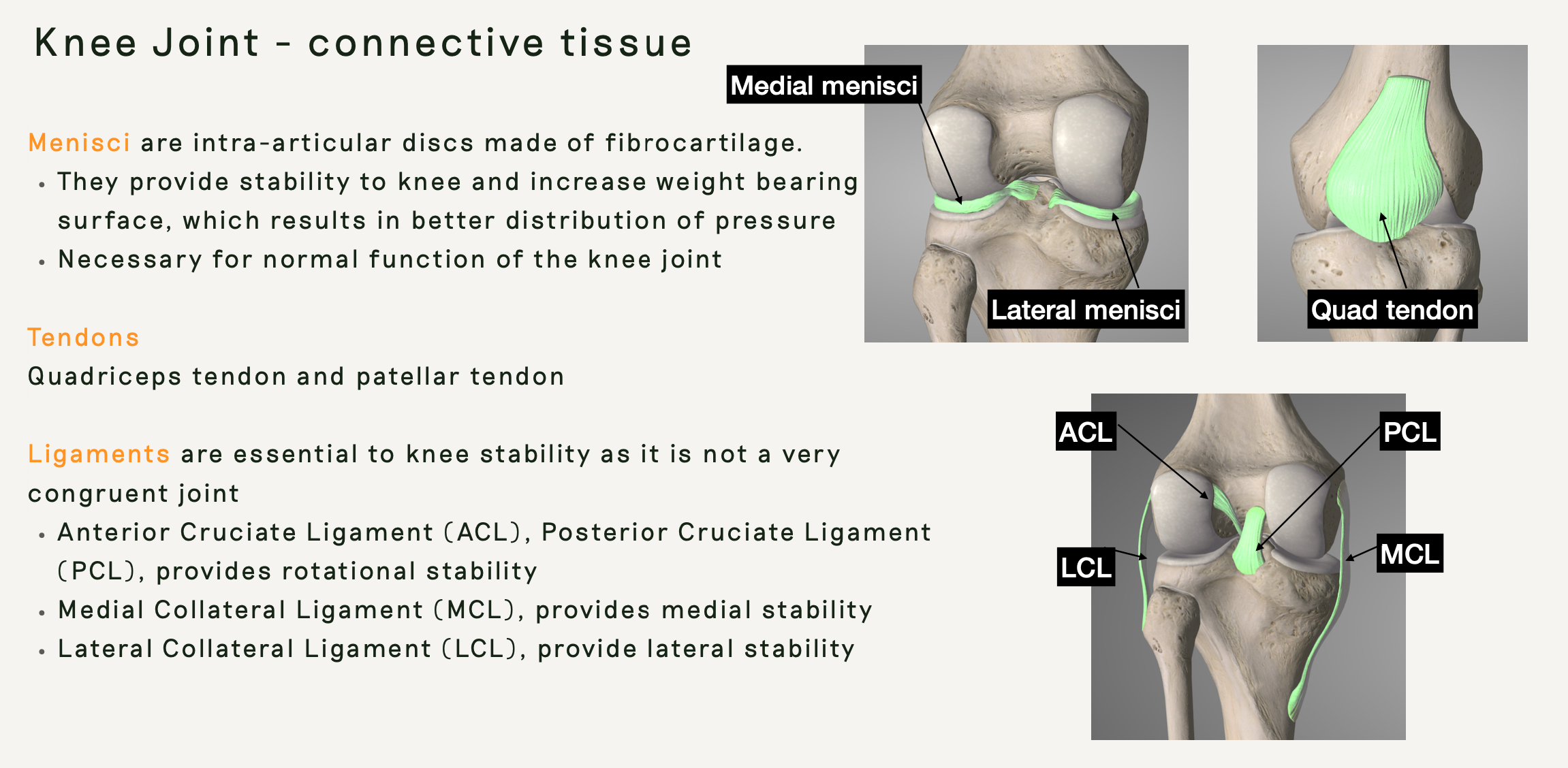 Fibrocartilage Knee