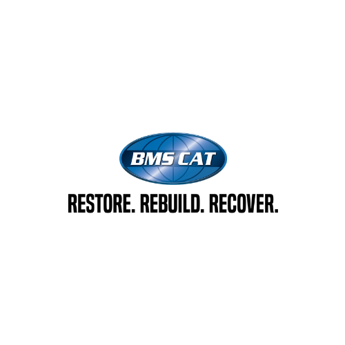 BMS CAT CESA Purchasing