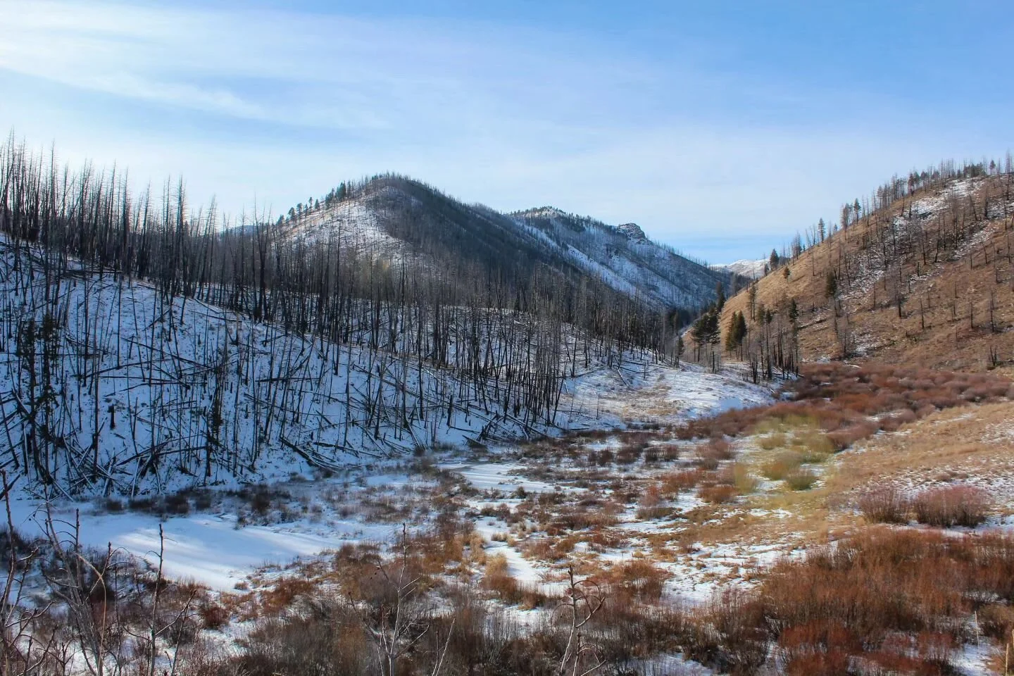 Trail Reporting Form — Wood River Trails Coalition