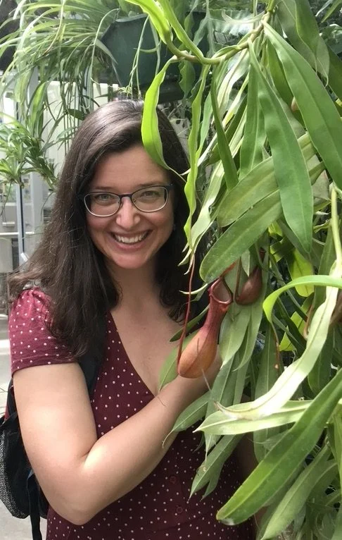 News — Bittleston Lab