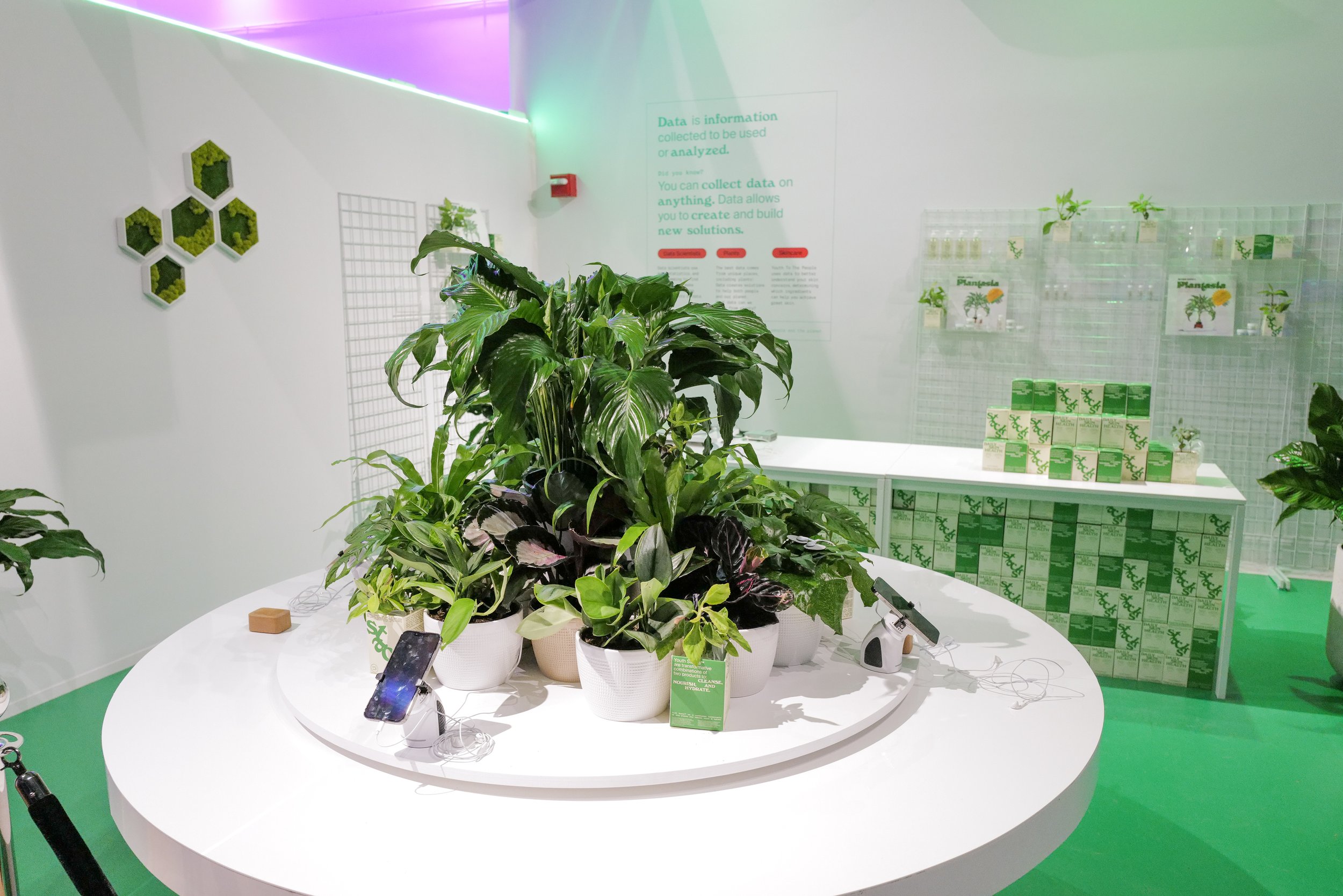 Clark Cultural Strategy LLC