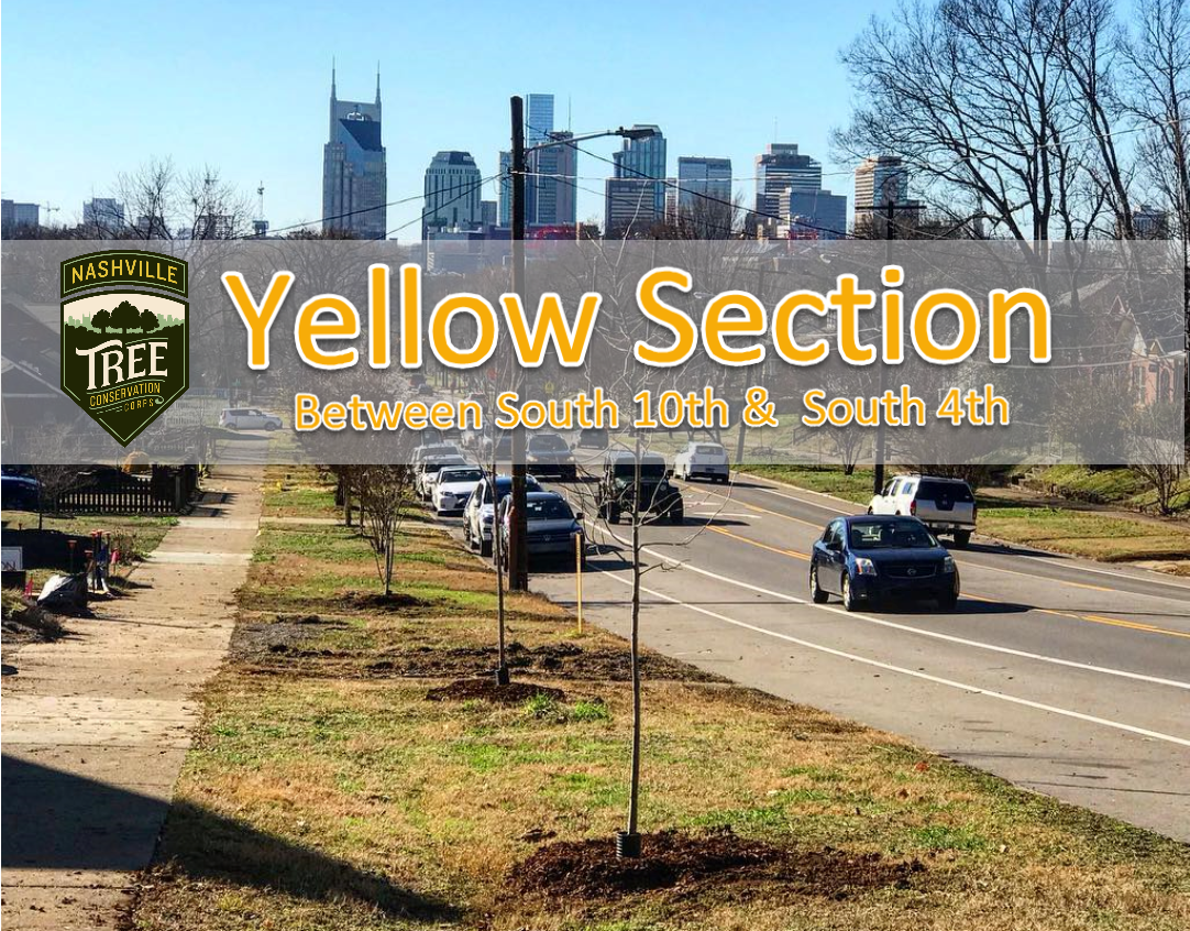 Shelby Avenue Tree Planting Vision — Nashville Tree Conservation Corps