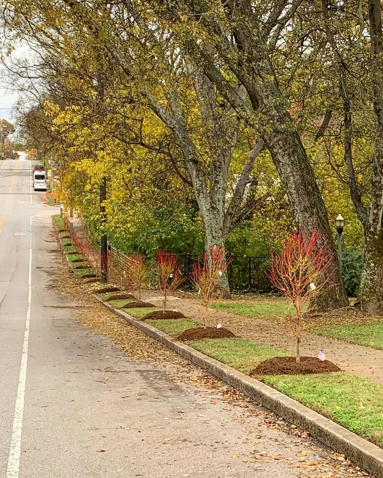 Kickoff for the Shelby Avenue Arboretum — Nashville Tree Conservation Corps