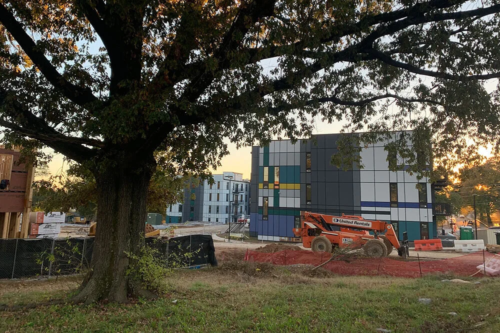 How Trees Help Limit Stormwater Runoff — Nashville Tree Conservation Corps