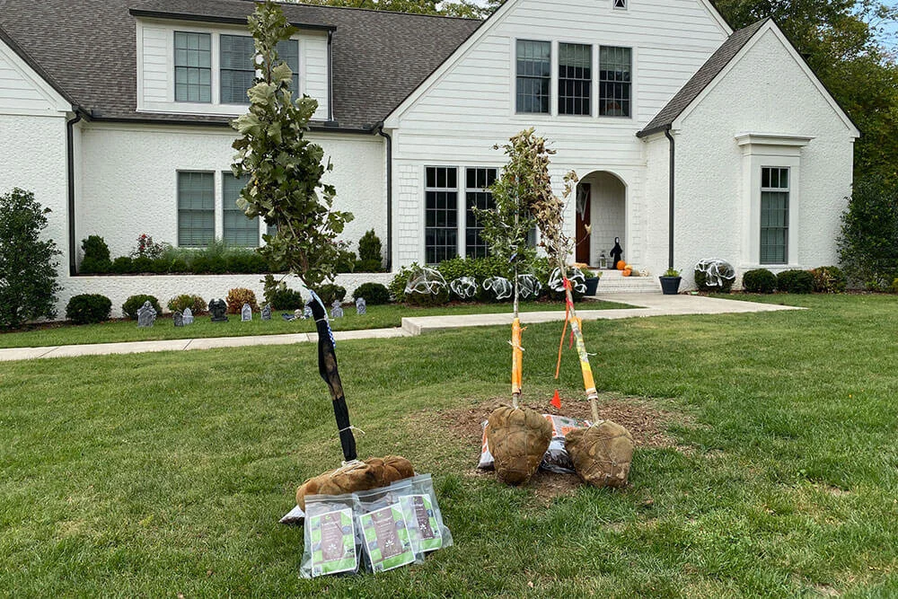 How Trees Help Limit Stormwater Runoff — Nashville Tree Conservation Corps