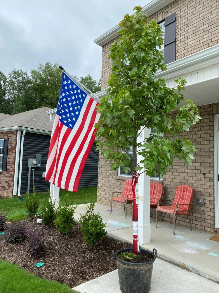 Homeowner Record Keeping for Nashville Trees — Nashville Tree ...