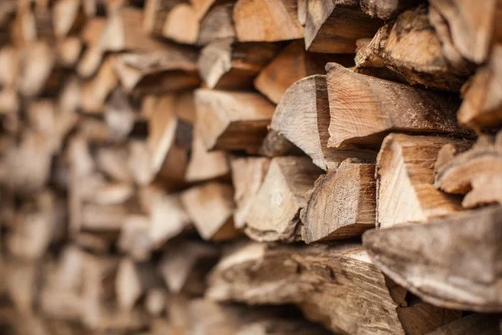 What Are the Best Trees for Firewood? — Nashville Tree Conservation Corps
