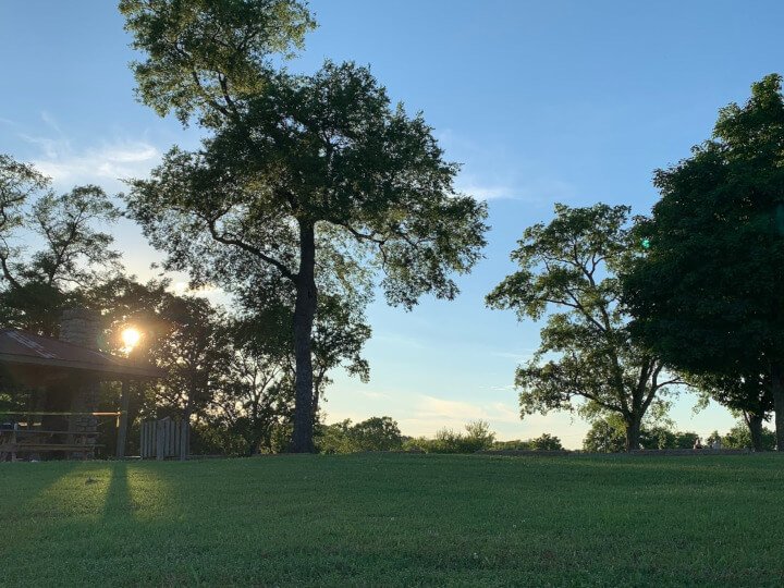 How Preserving a Mature Tree Canopy Benefits Our Health — Nashville ...