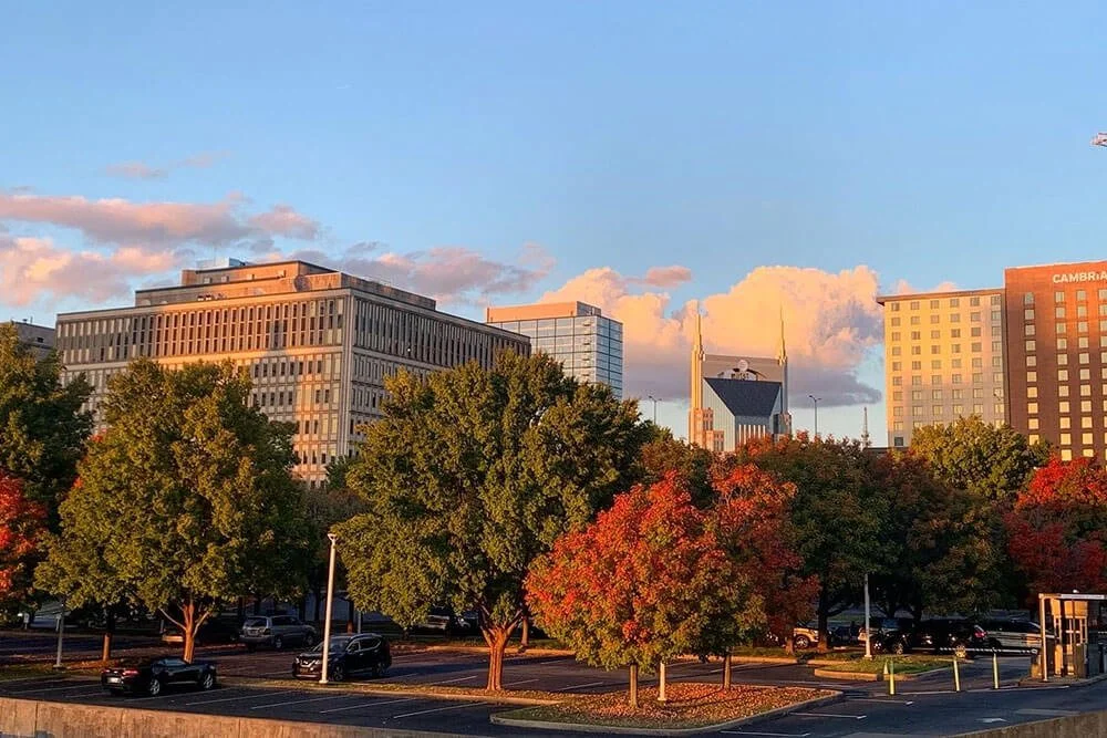 All About Fall — Nashville Tree Conservation Corps