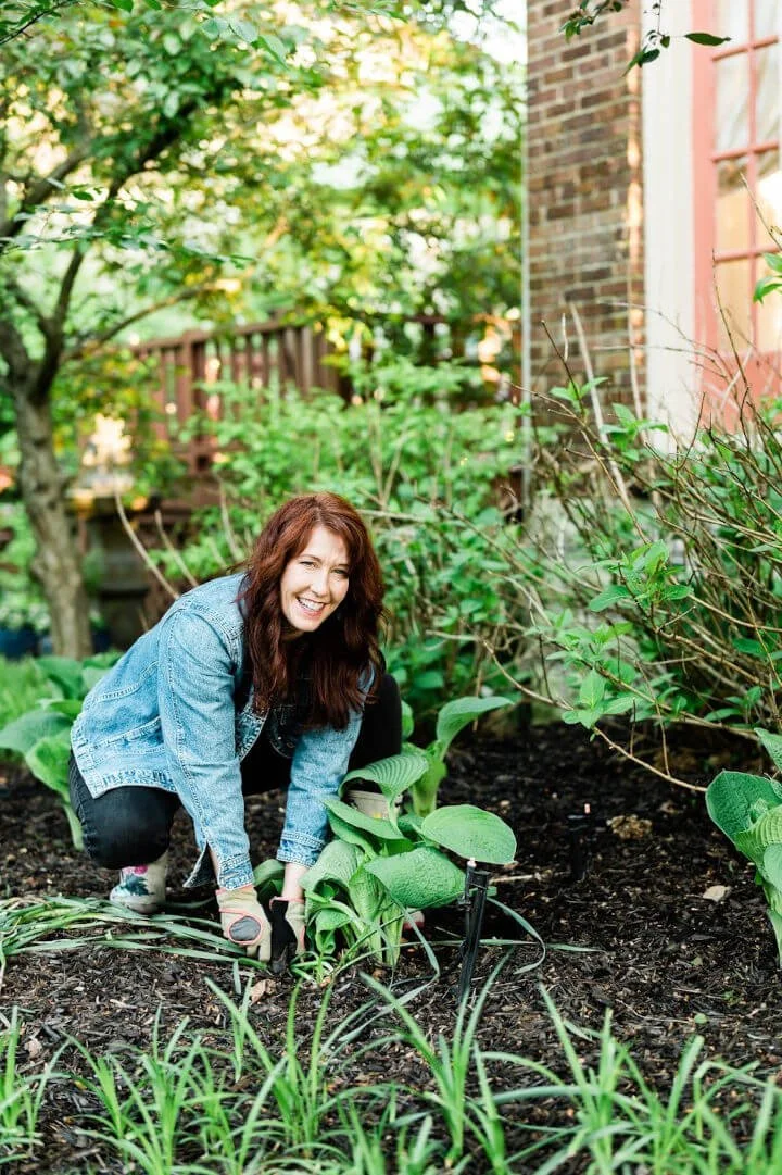 Meet Our New Executive Director, Ginger Hausser — Nashville Tree ...