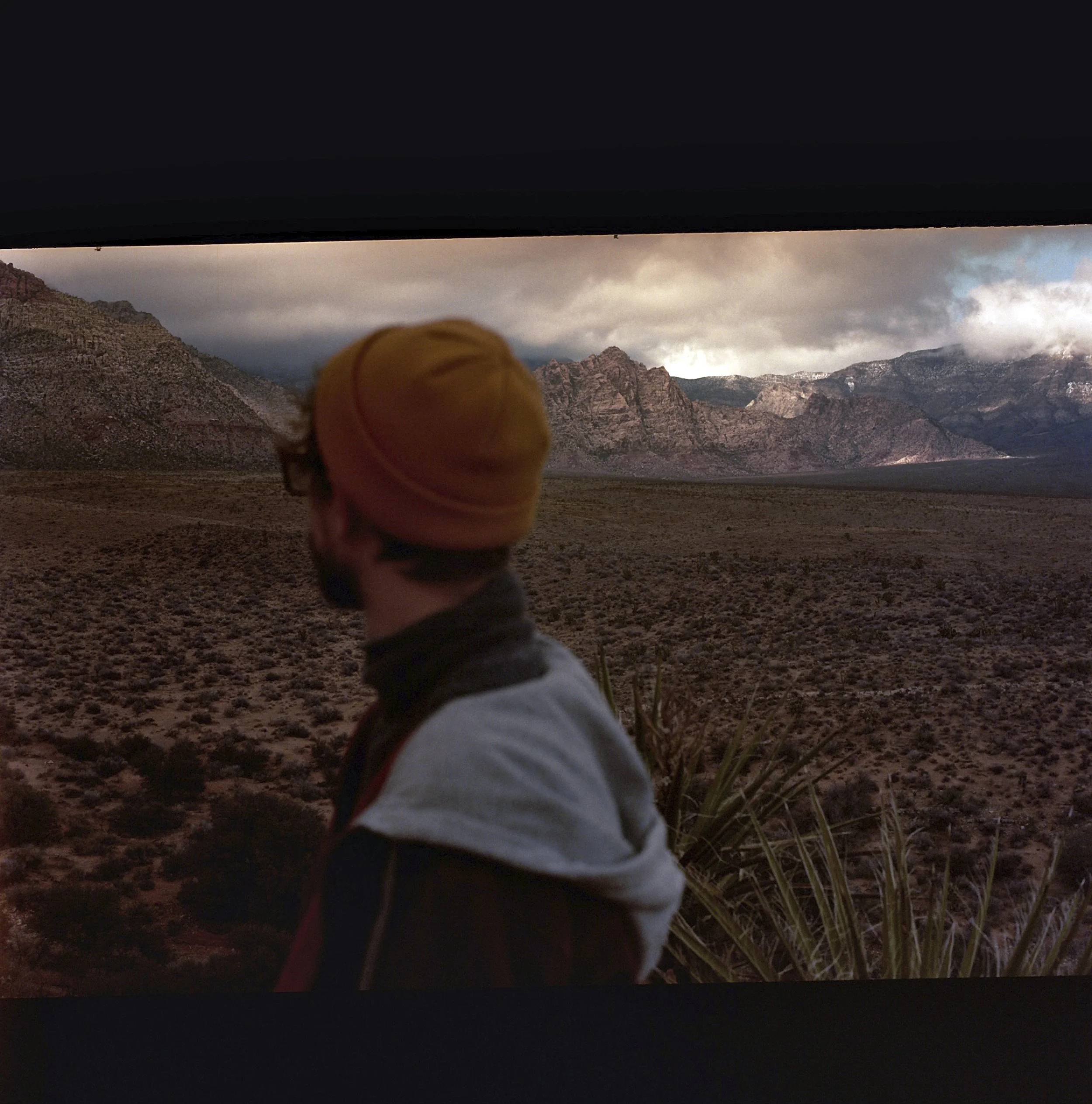 humans — Birgit Buchart