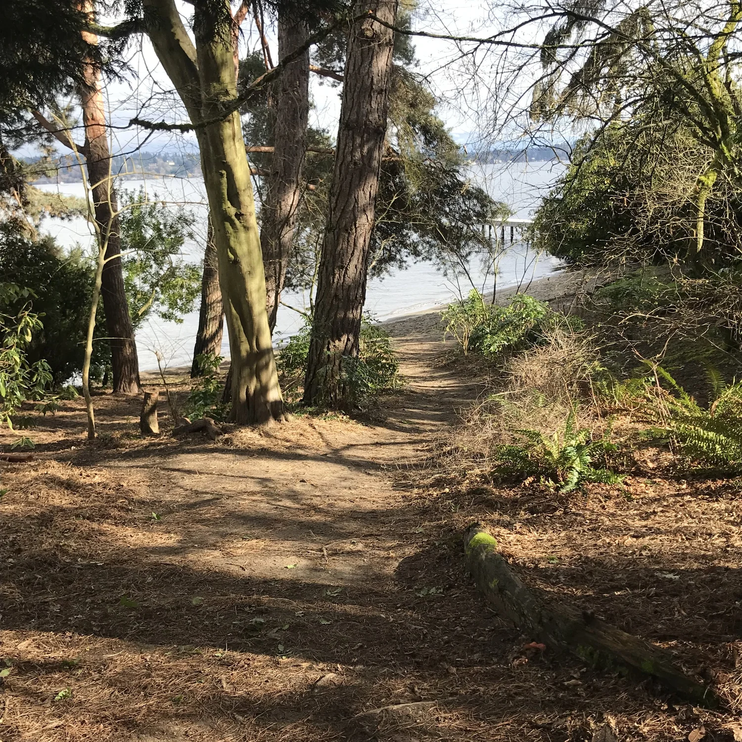 Friends of Street Ends