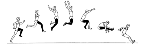 Long Jump Technique