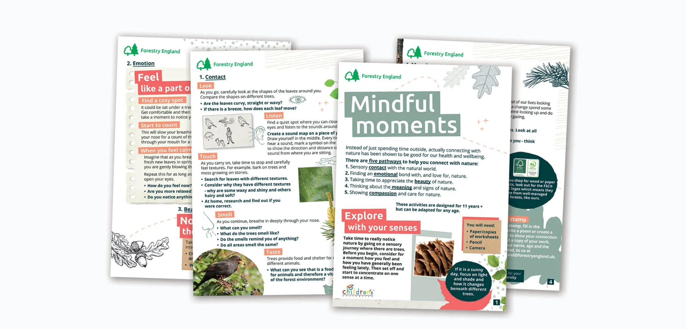 Forestry England illustrated trail posters and downloadable educational ...
