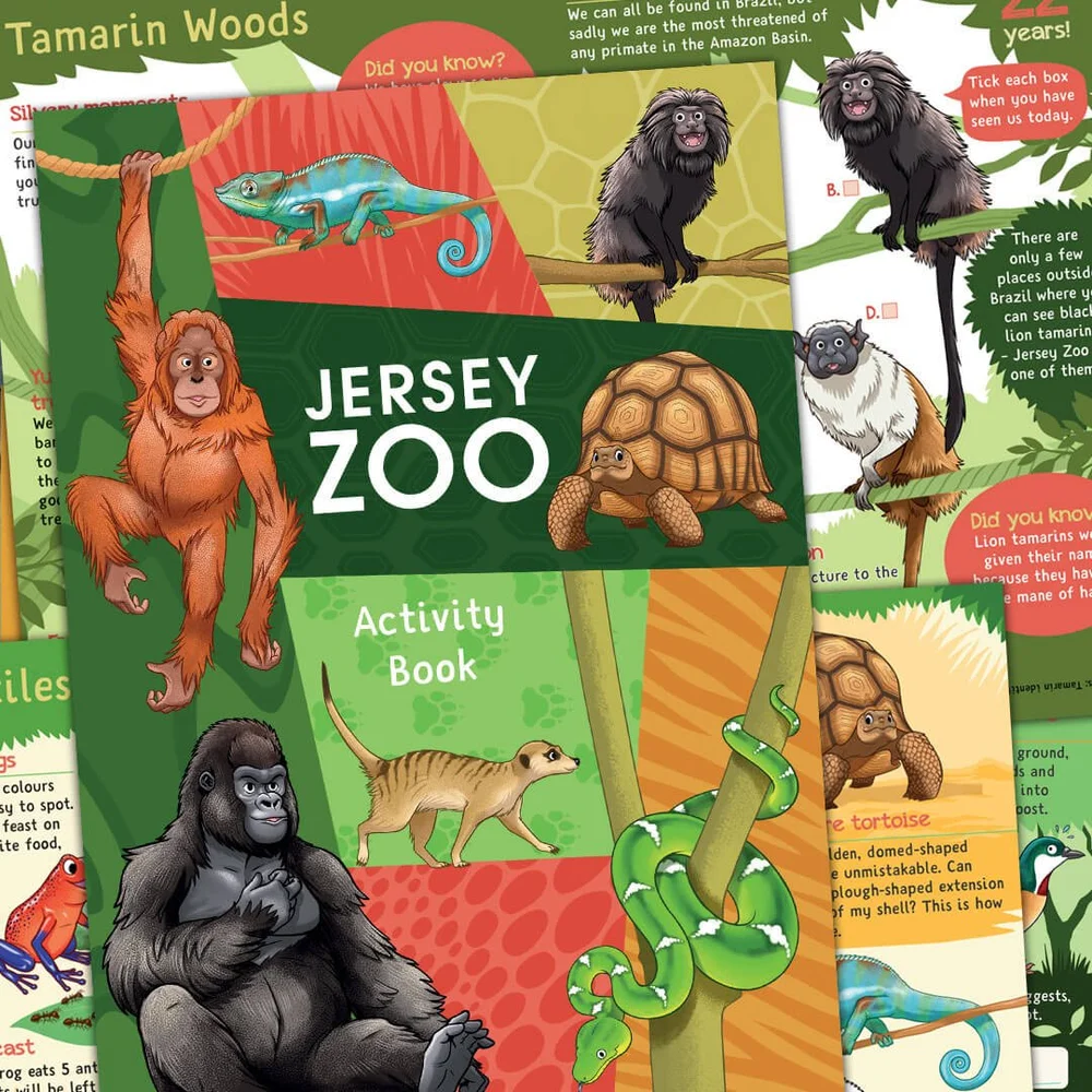 Bespoke Activity Books — Colour Heroes