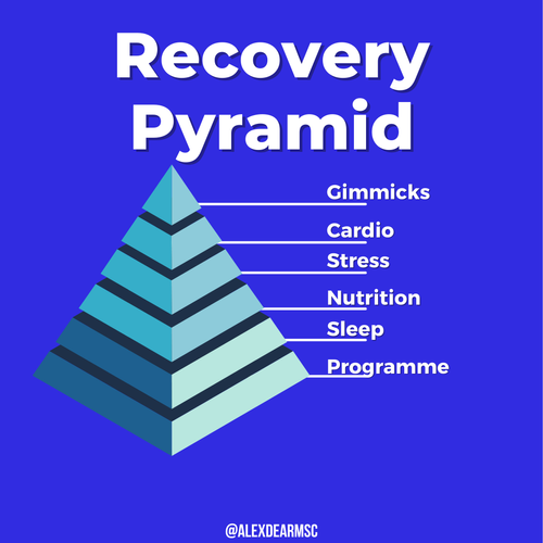 The Best Recovery Article Ever — Strength Physiotherapy