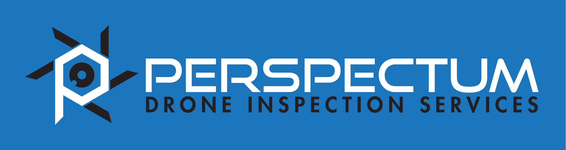 Perspectum Drone Inspection Services