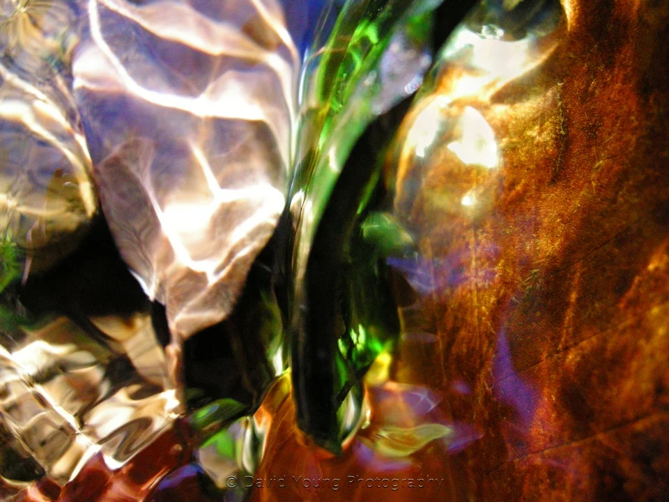 David Young Photography