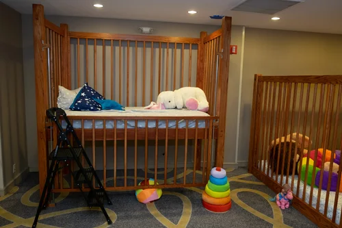 CAPCon Chicago Ageplay Convention — CAPCon