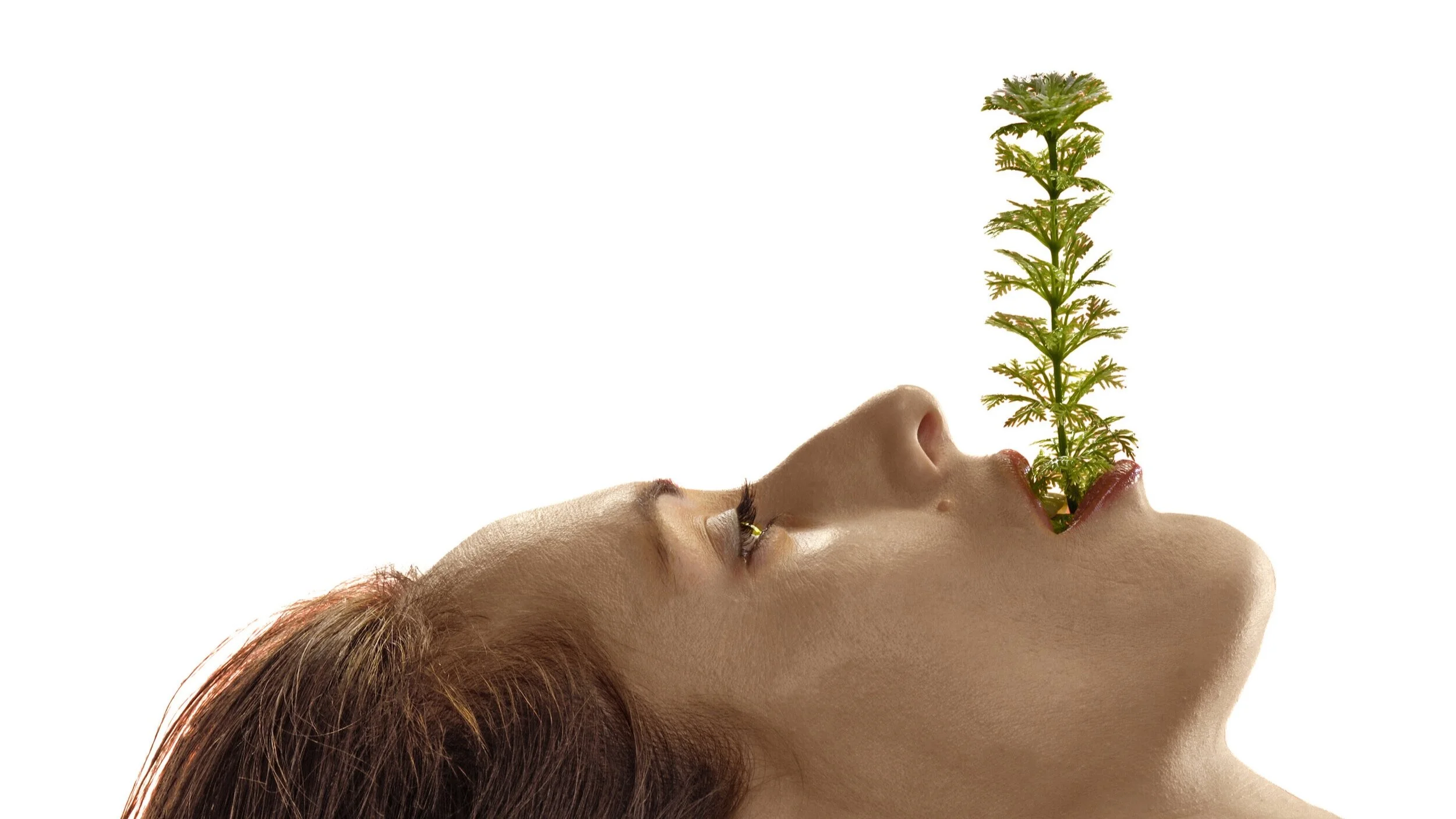 Jodi Lomask : Creative Journey