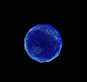 Vellum Hair Advected by Velocity Fields — Bubblepins