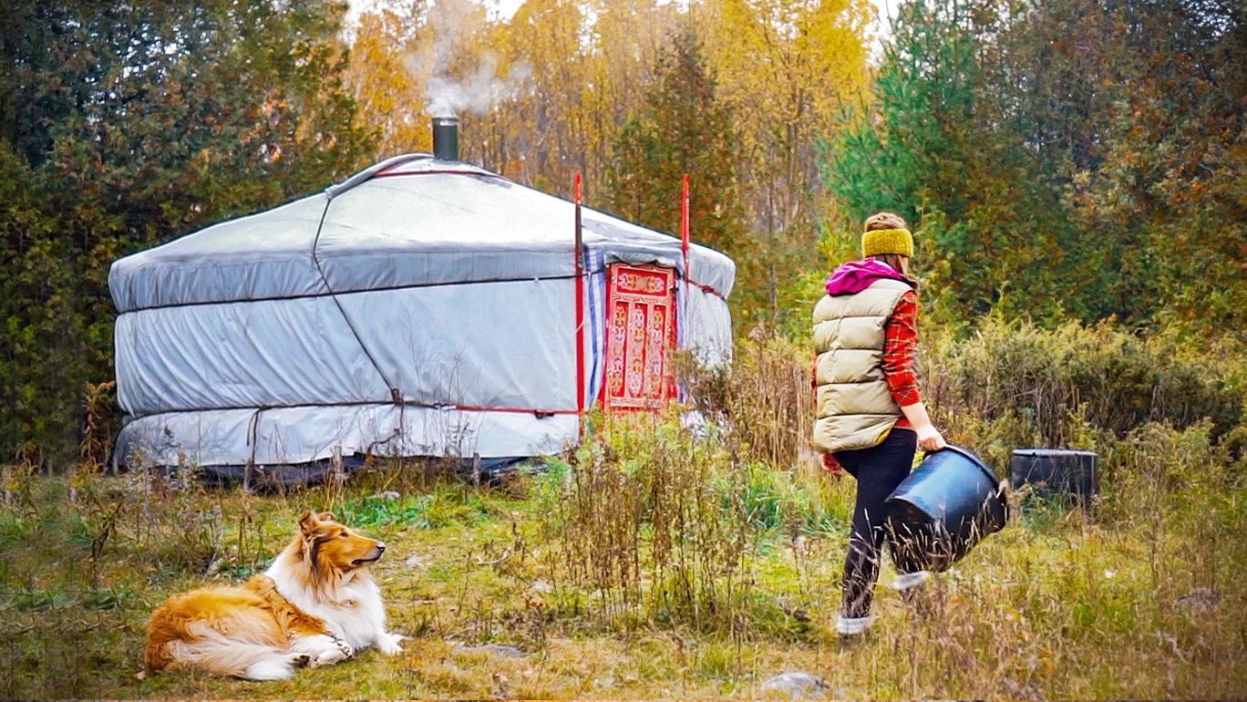 Exploring Alternatives