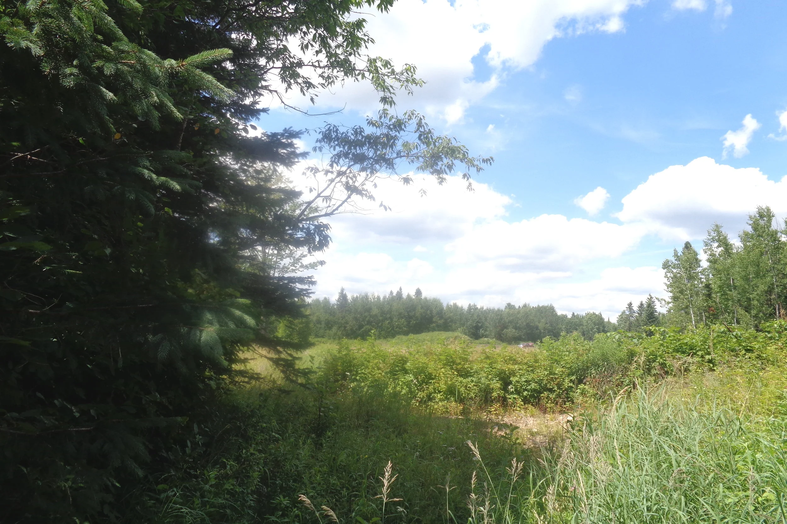 Additional Environmental Services — Star Environmental, Inc.