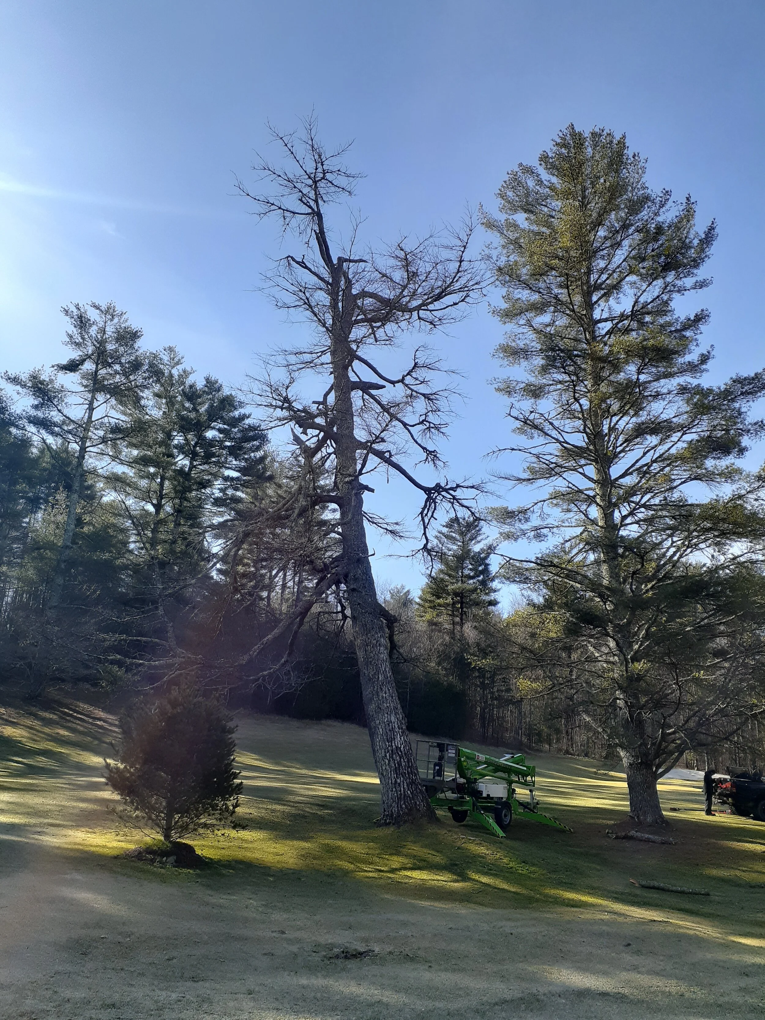 Great Oaks Country Club