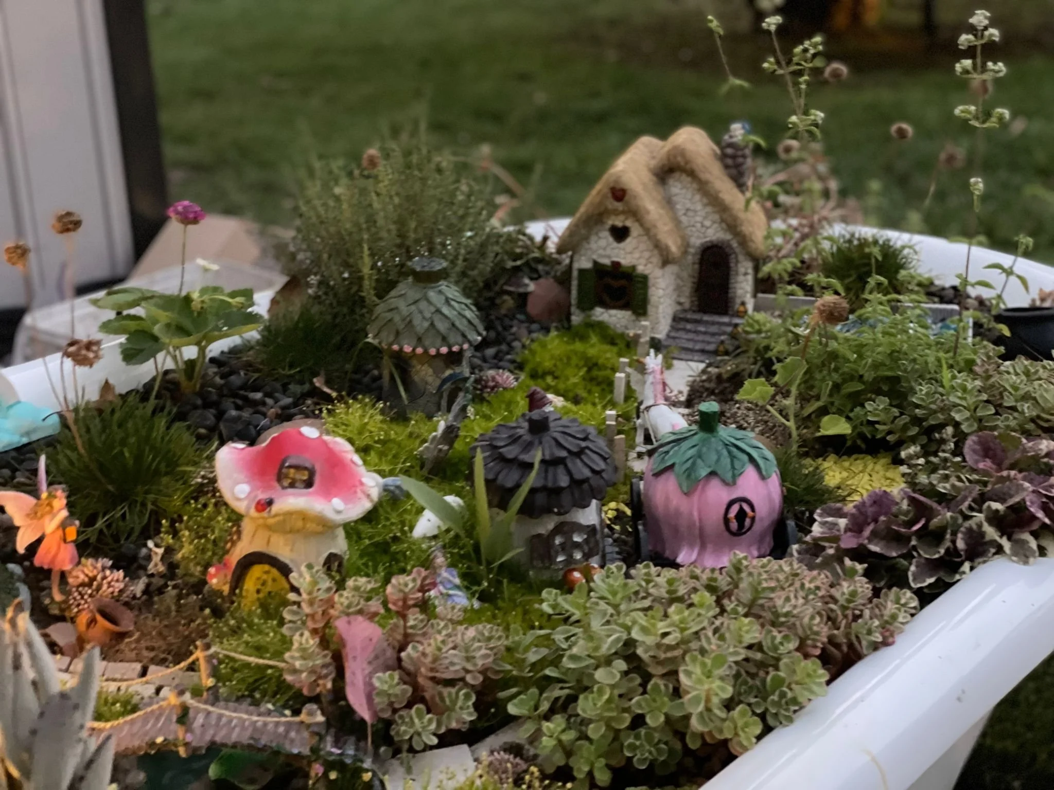 Your very own DIY Enchanted Fairy Garden — Ecodesign
