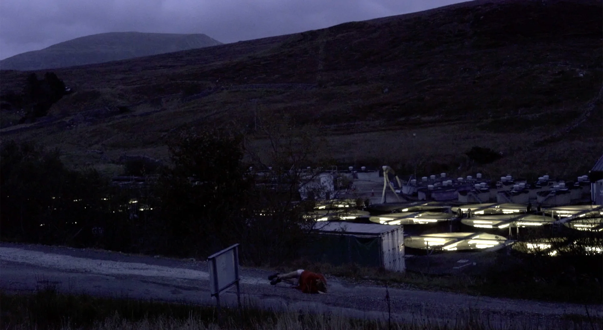 Fox Cry — Myrid Carten