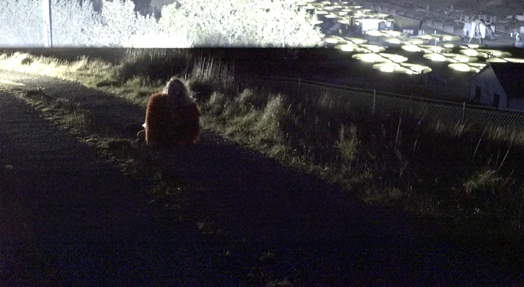 Fox Cry — Myrid Carten