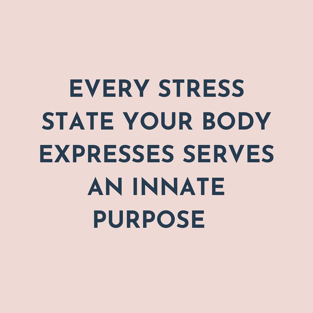 Dr. Carrie Rigoni : Chiropractor Perth