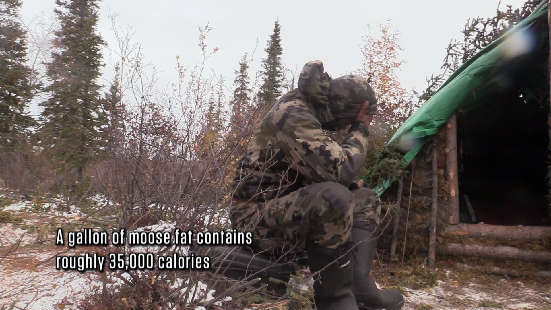 Moose Kill Alone