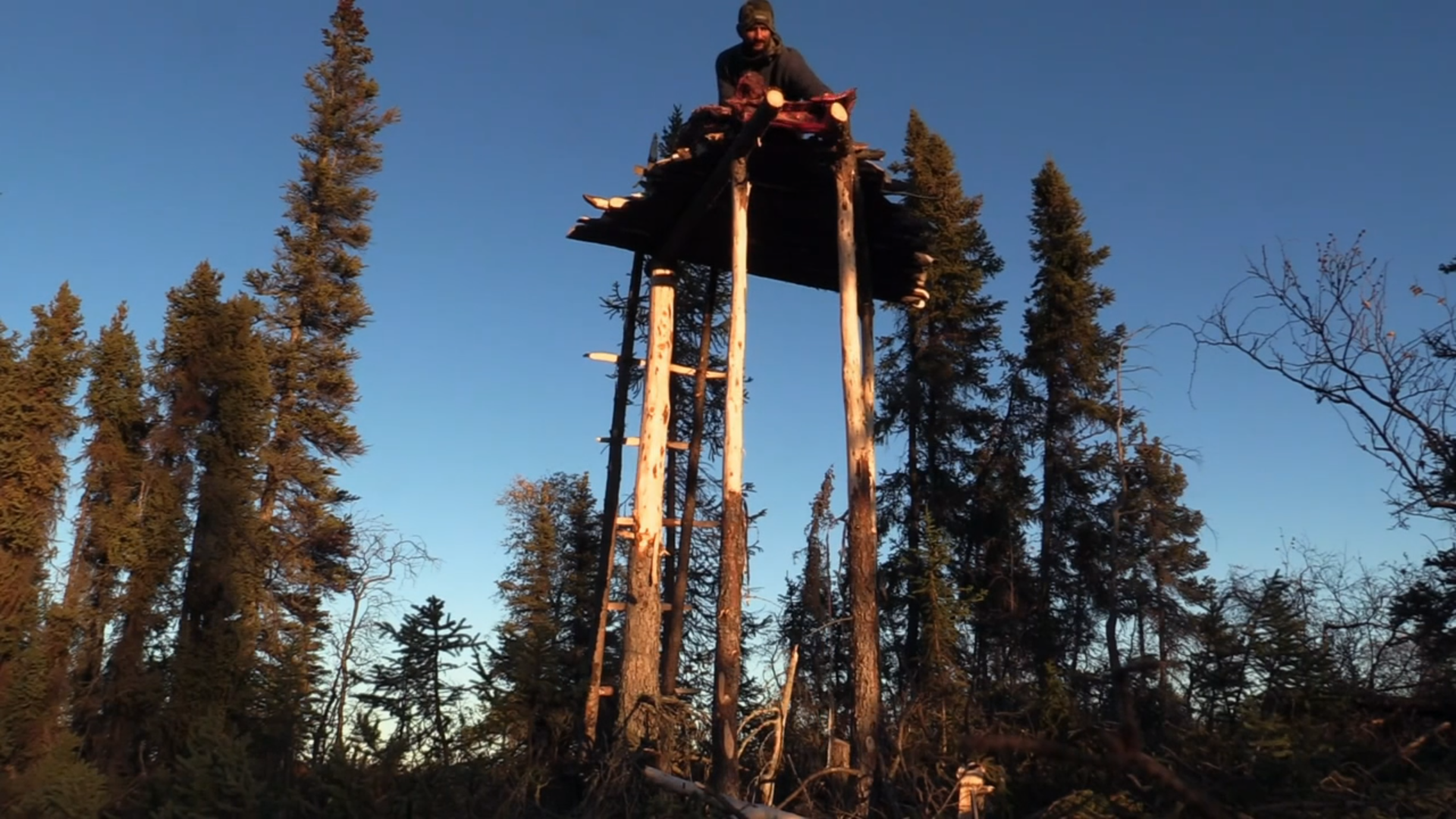 Alone S6 E7: Night Raider details: Wolverine! — Jordan Jonas