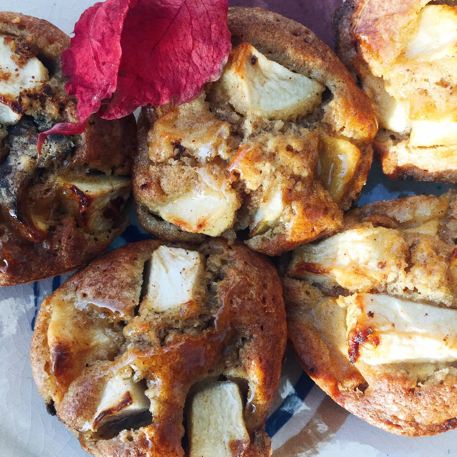 Apple Cinnamon Cakes With Crispy Walnut Crust — ninja's table