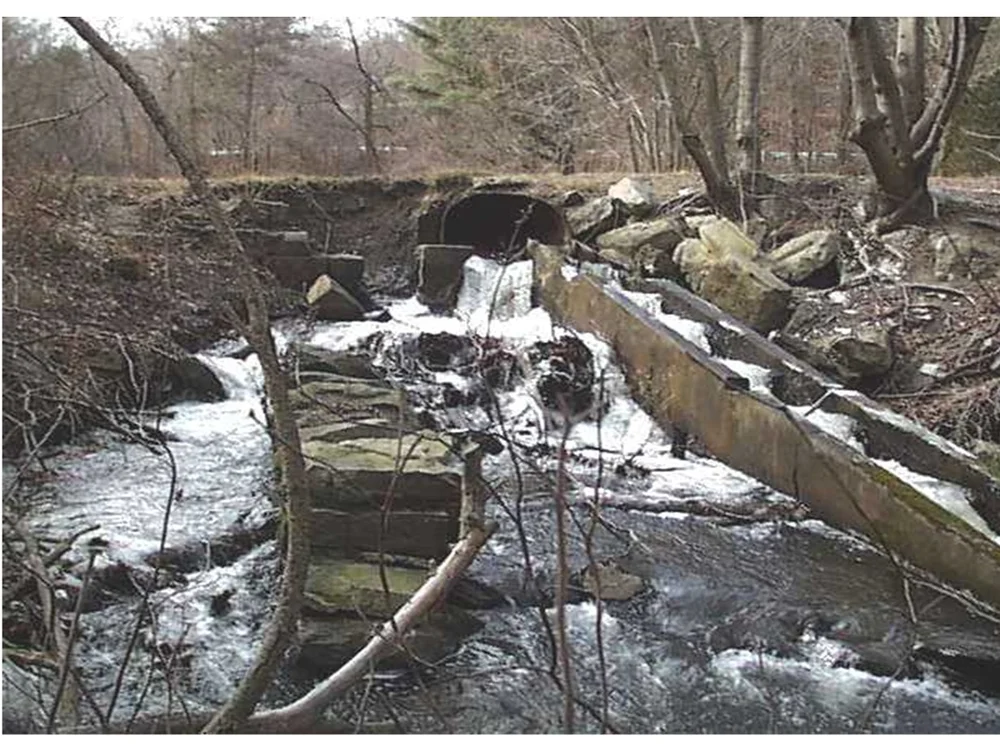 Town Brook Herring Run