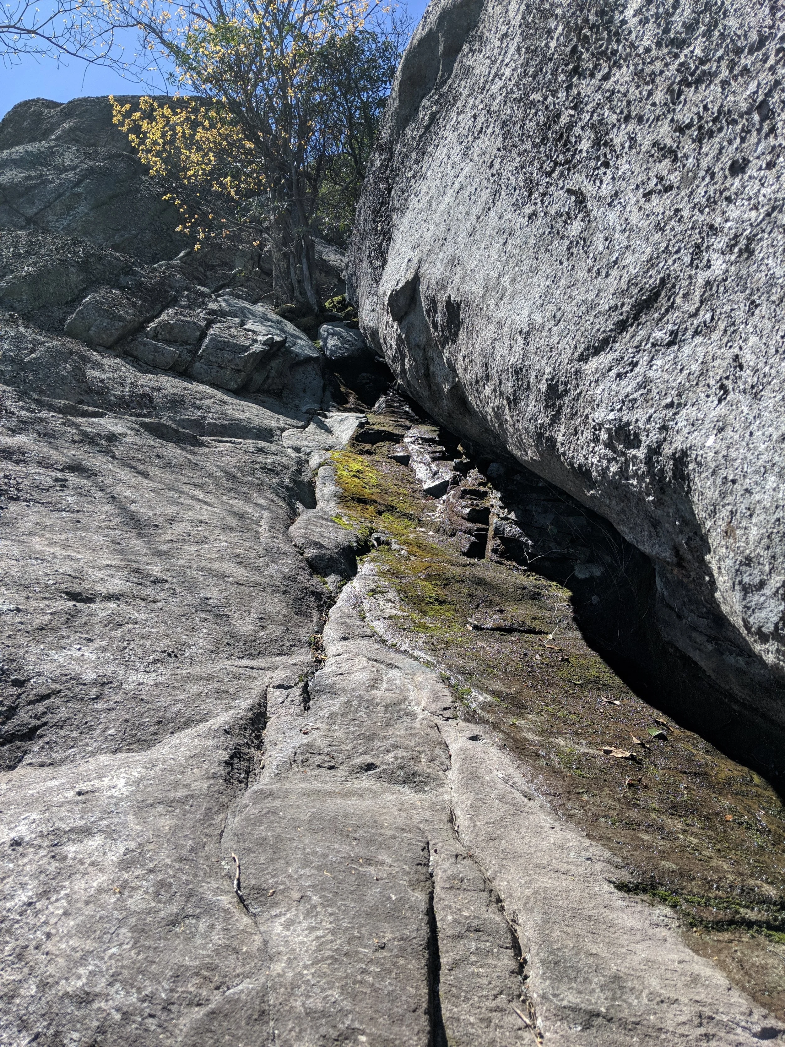 Old Rag Mountain: The Most Badass Hike in Virginia — Maps With No Roads