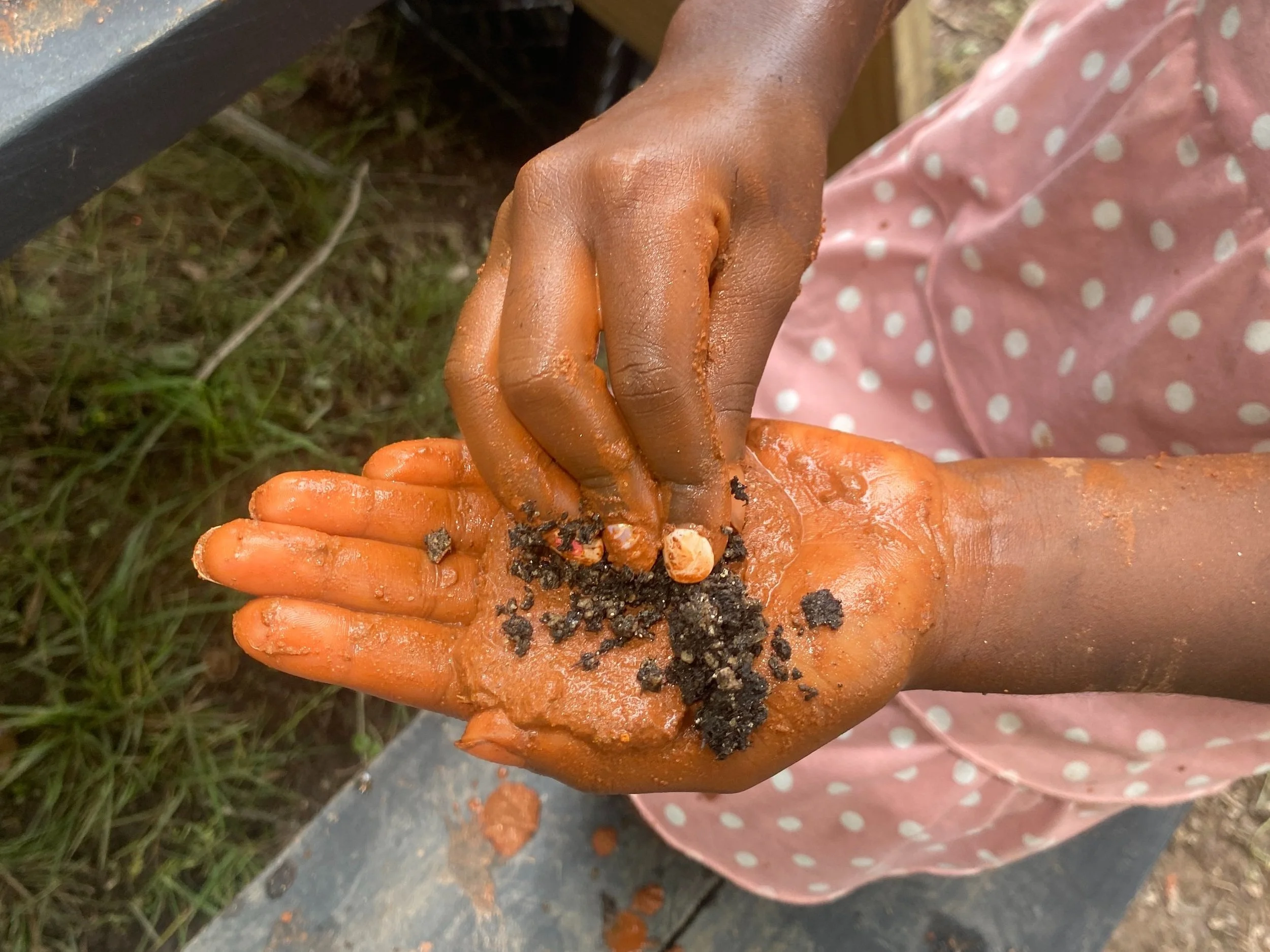 Planting Magic: How to Make Seed Balls with Kids — The Educational ...