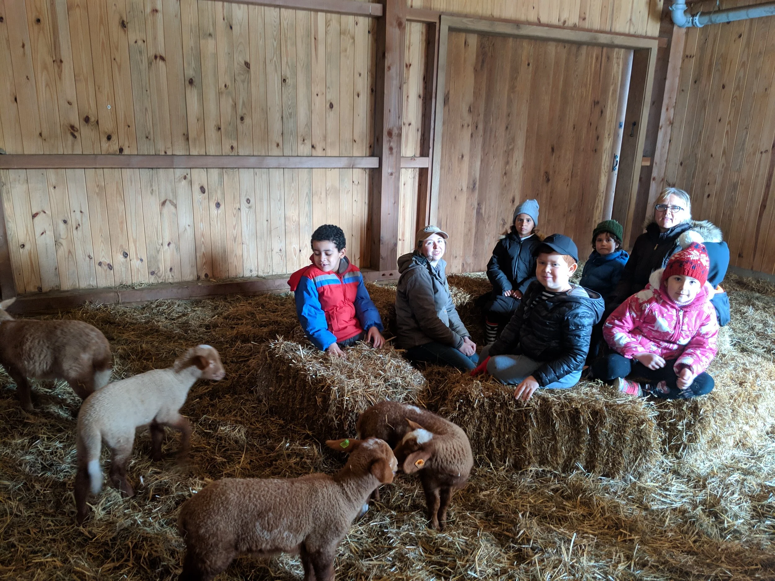 Field Trips — Slough Farm