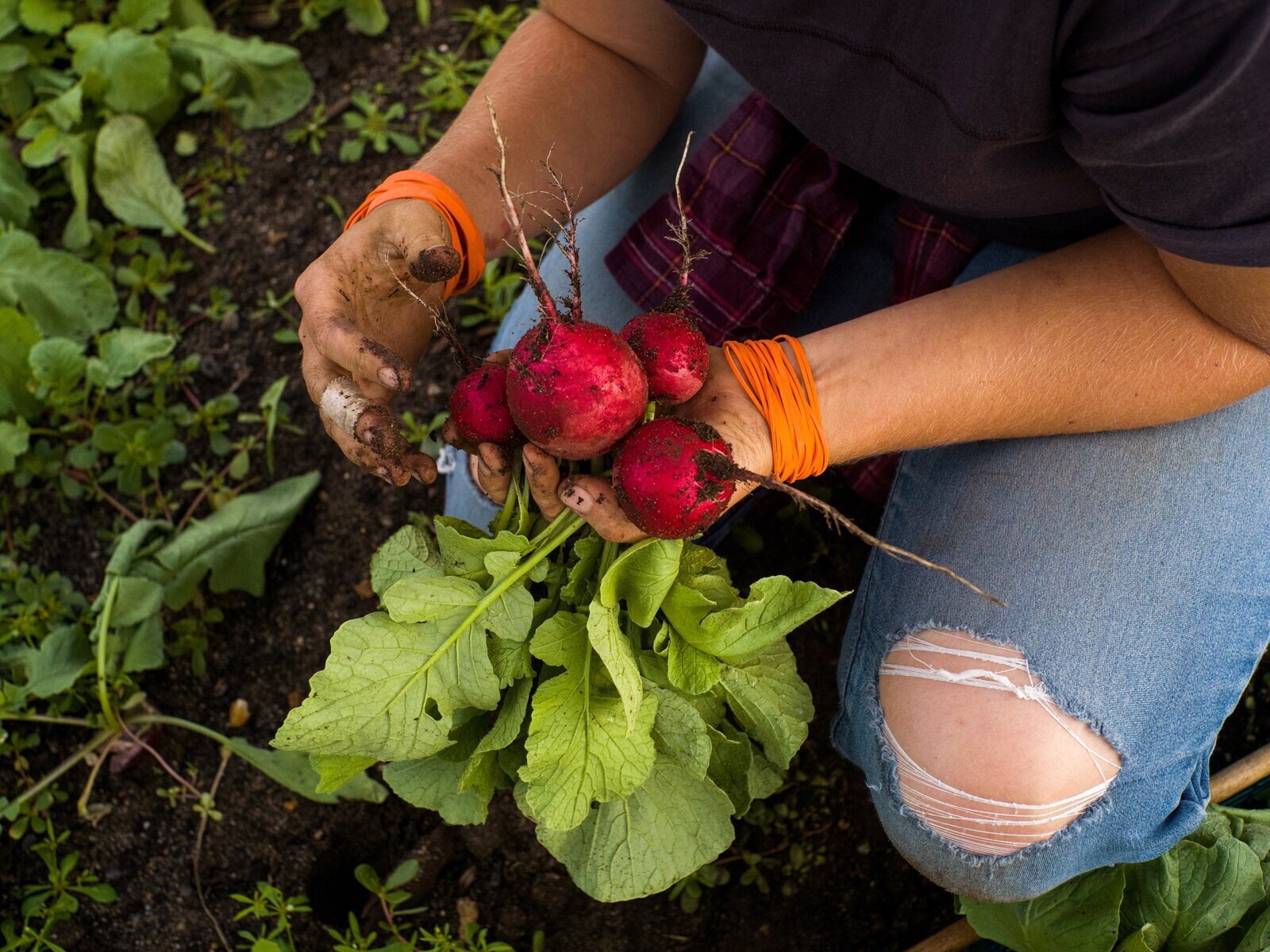 Garden — Slough Farm