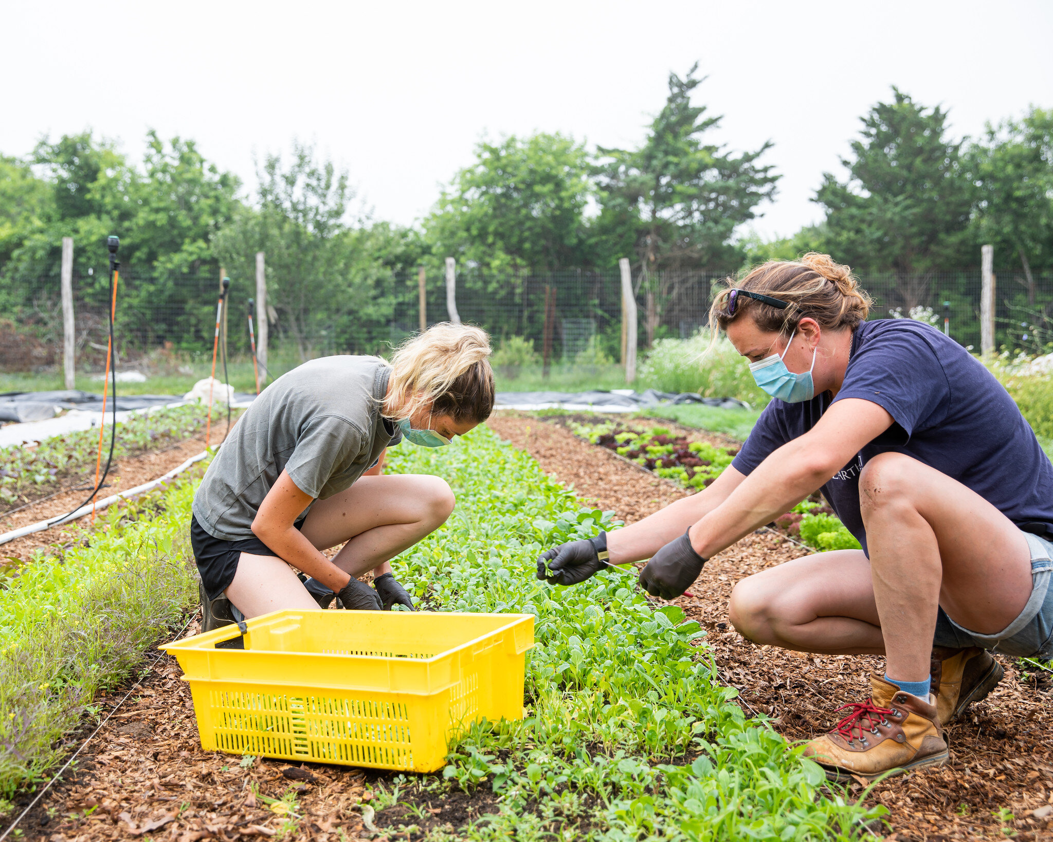 Farmer and Homesteader Grant — Slough Farm
