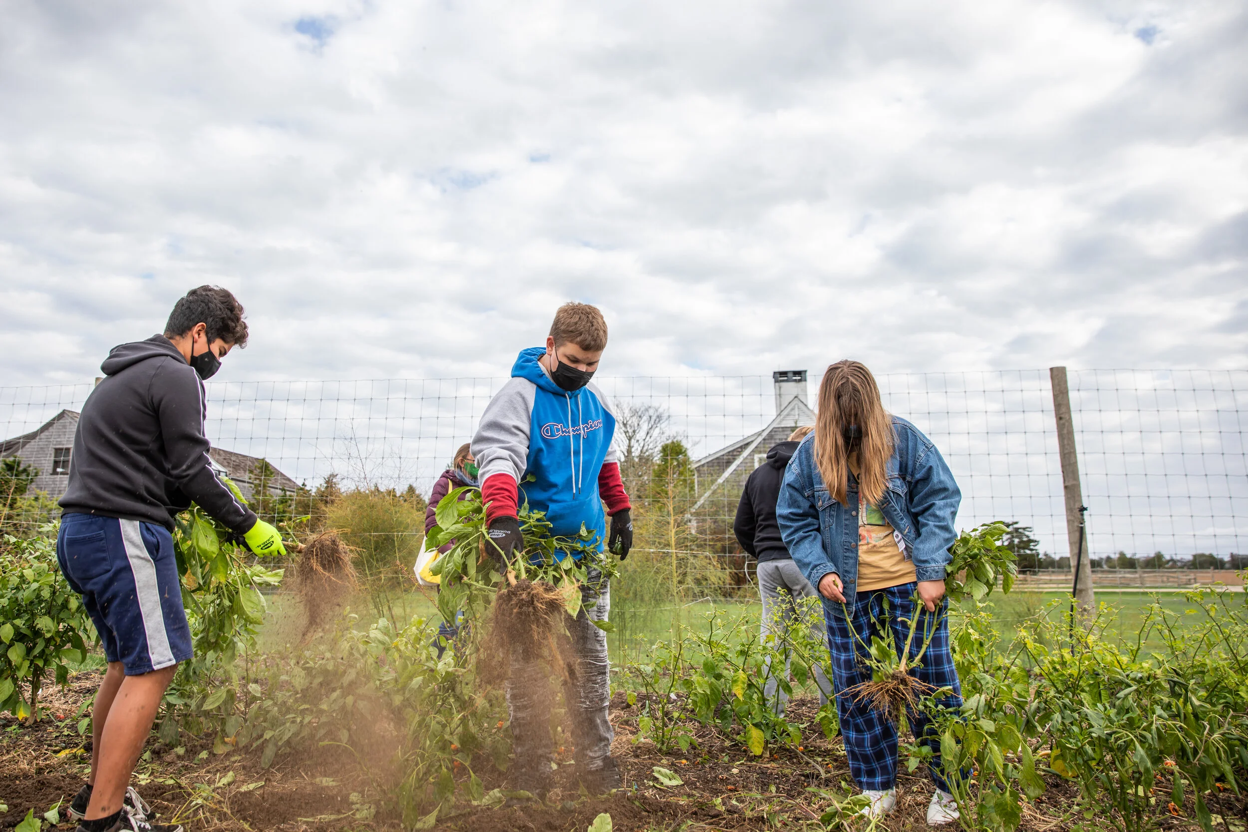 Field Trips — Slough Farm