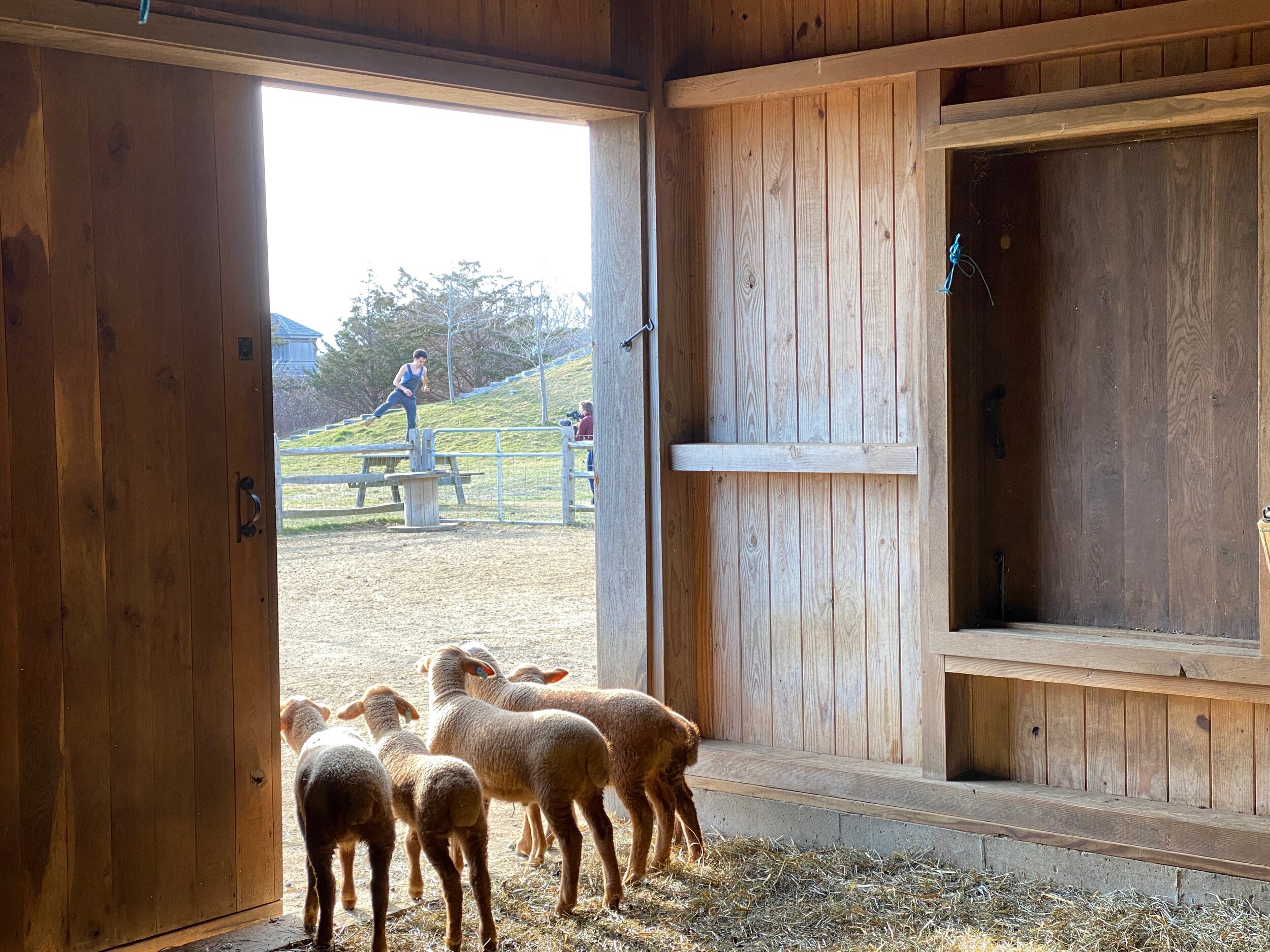 Residencies — Slough Farm