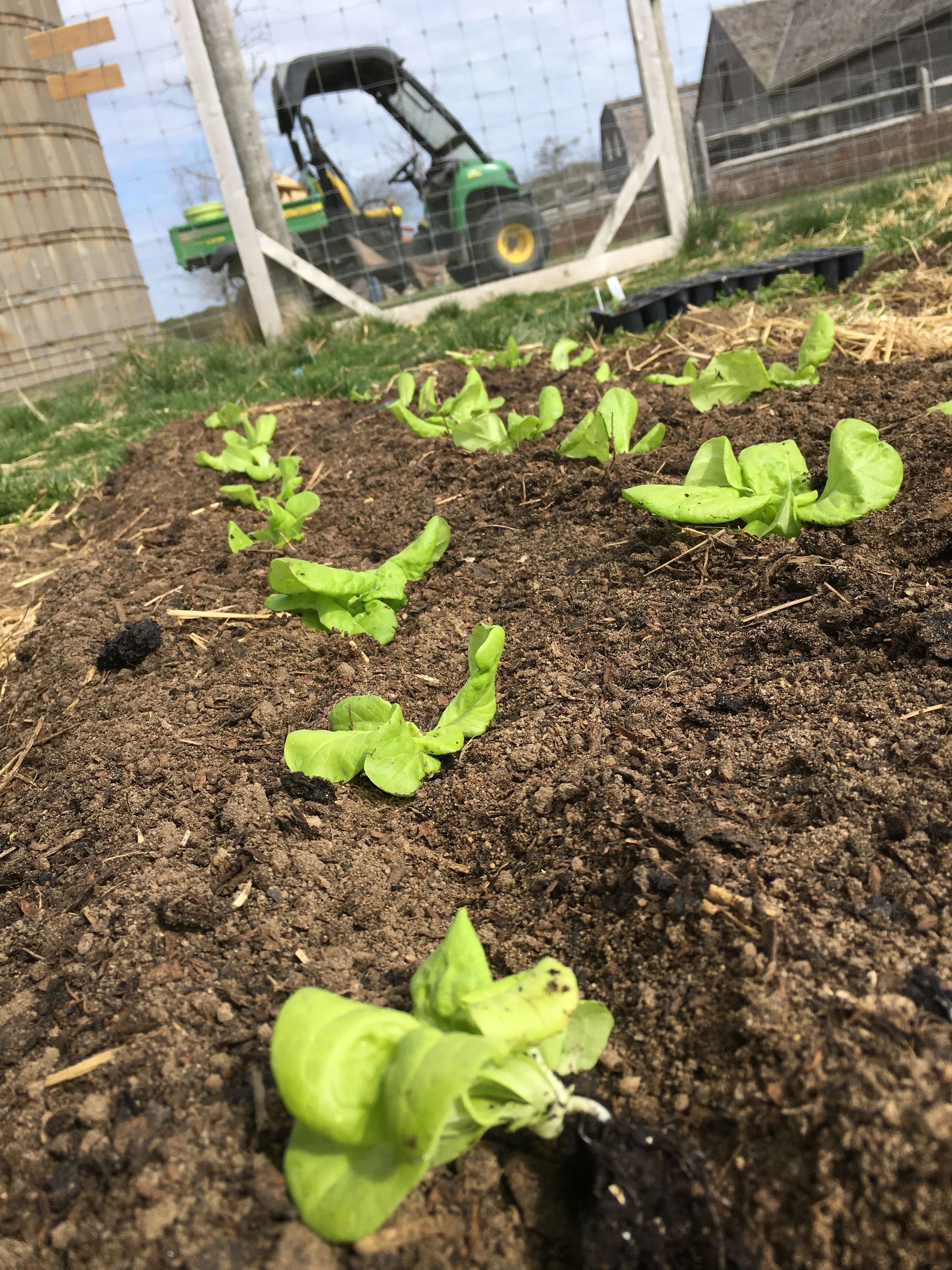 Garden — Slough Farm