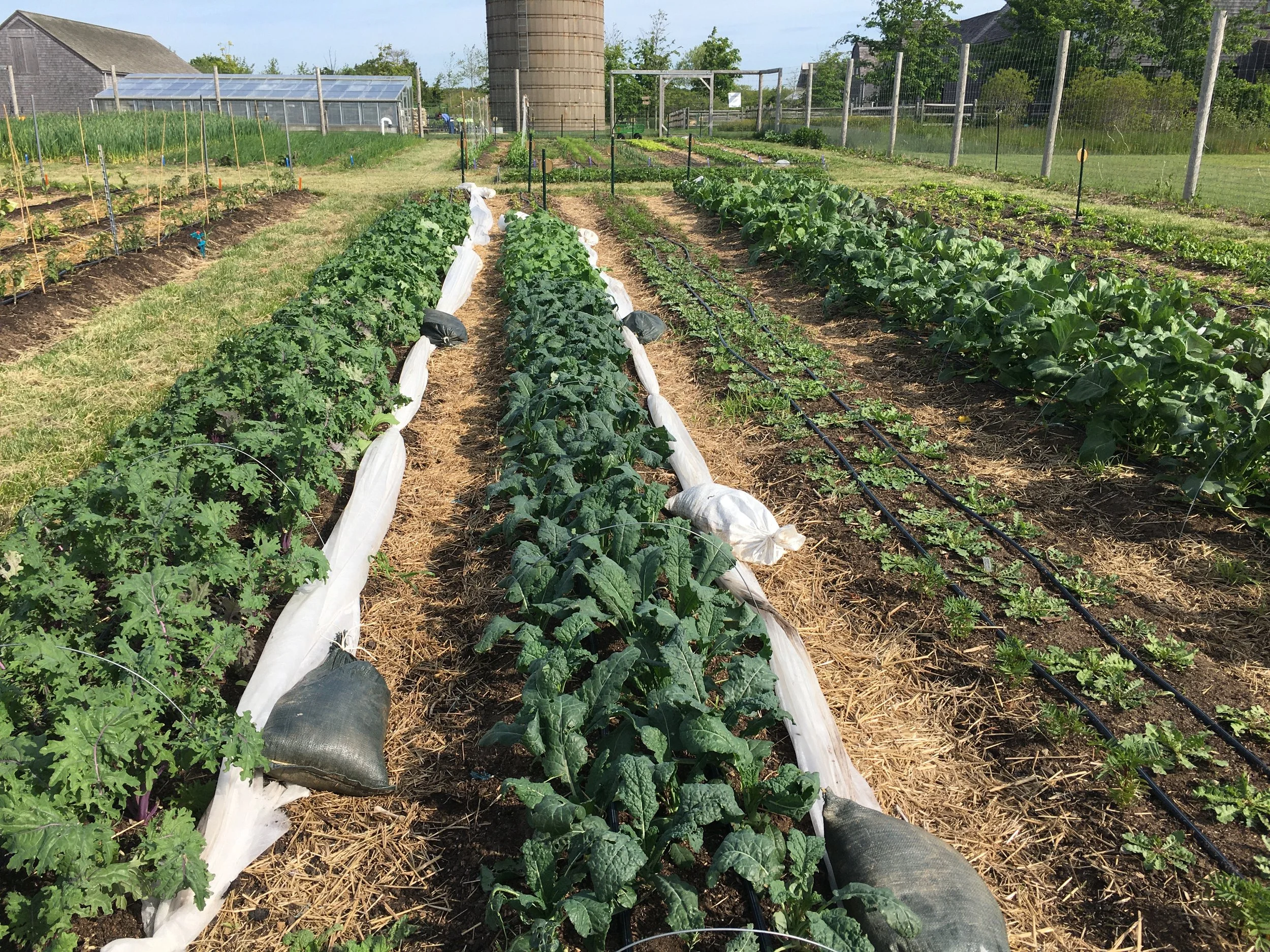 Garden — Slough Farm