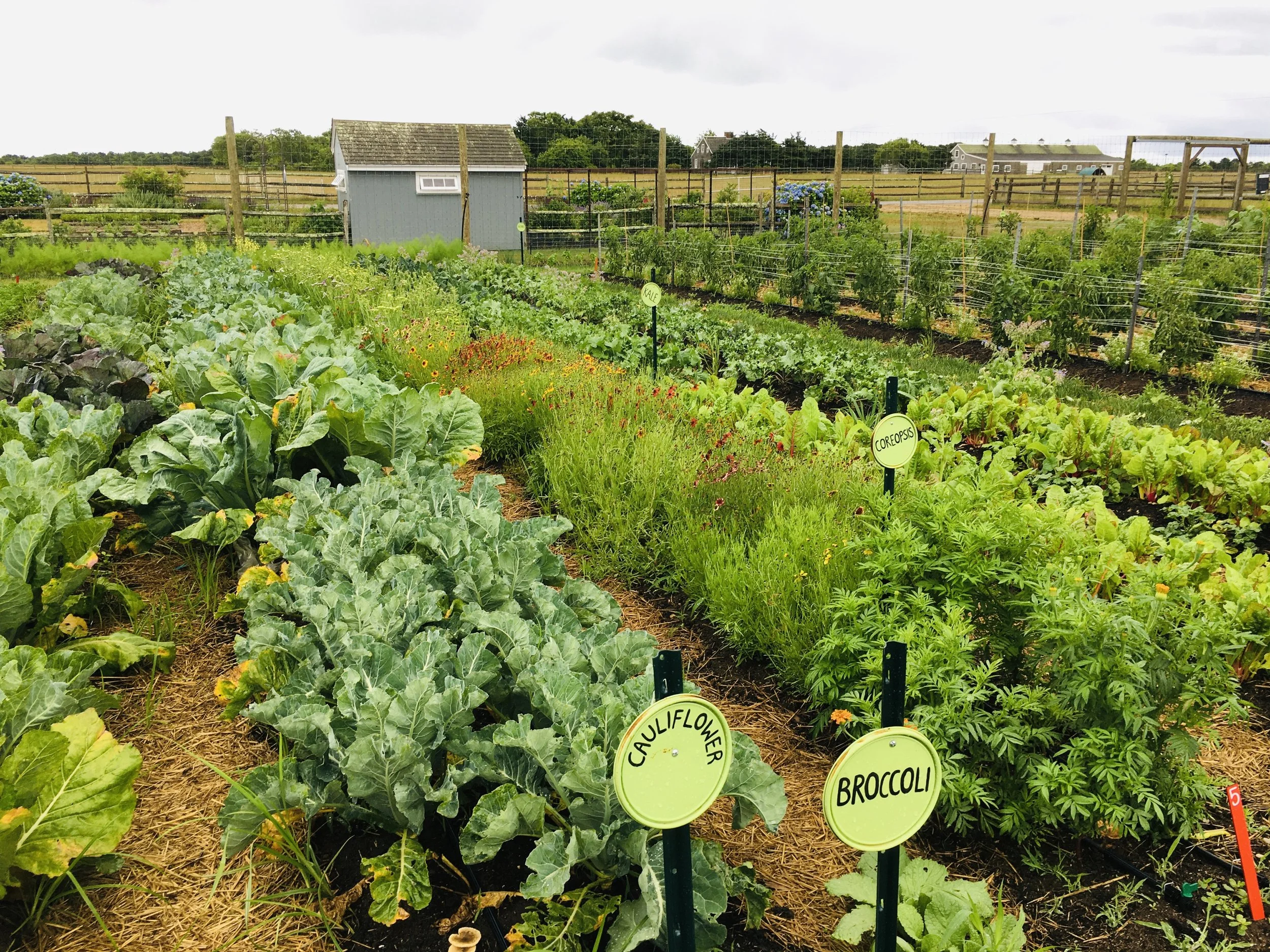 Garden — Slough Farm