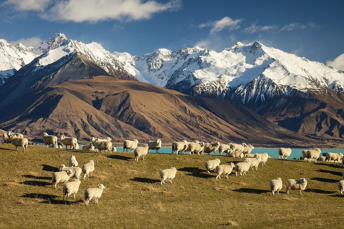 Accomodation — Summer Challenge