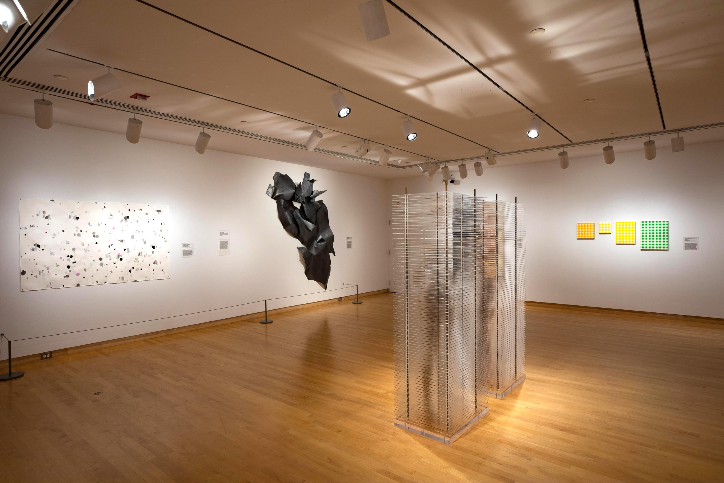 Exhibitions — Amy Pleasant